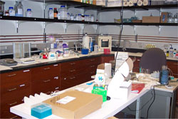 New Page 1 [o.web.umkc.edu]